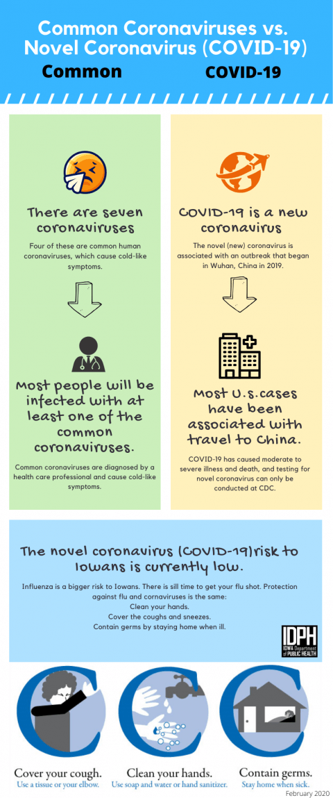 Common Coronavirus vs New Coronavirus | Marion County Department of ...